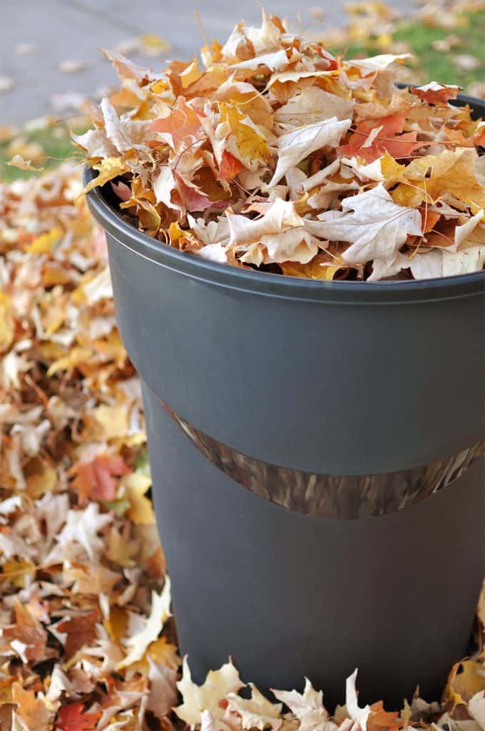 Why It's Important to Teach Kids to Rake Leaves - The Crafty Blog Stalker