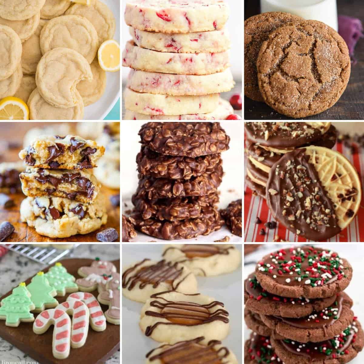20 Christmas Cookies Santa Would Love - The Crafty Blog Stalker
