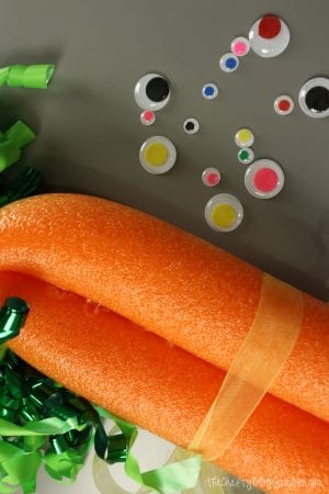 How to Make a Super Fun Pool Noodle Horse, a Complete Tutorial