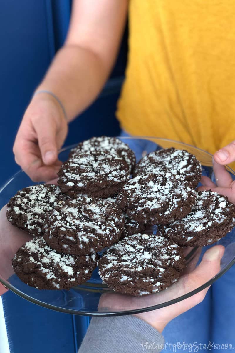 Glass Etched Christmas Cookie Plates - The Crafty Blog Stalker