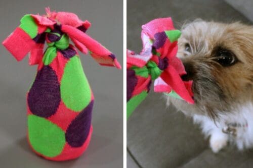 29 Crafts for Dogs - The Crafty Blog Stalker