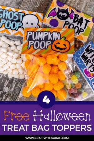 How to Make 20 Halloween Treat Bags to Give as Gifts