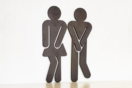 41 Funny Bathroom Signs that will make you Laugh – Protasm