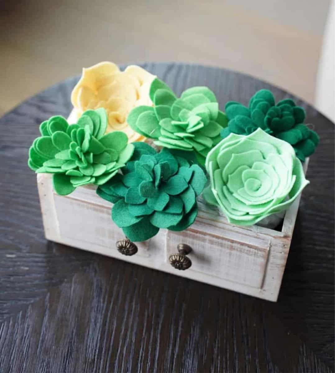 20 Succulent Crafts Ideas - The Crafty Blog Stalker