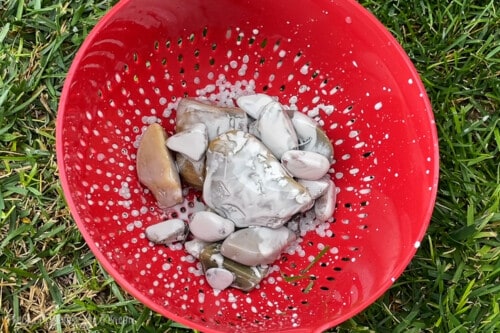 How to Polish Rocks with a Rock Tumbler - The Crafty Blog Stalker