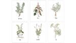 17 Free Spring Printables - The Crafty Blog Stalker