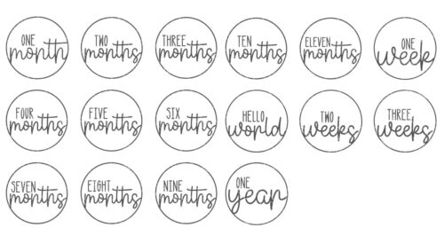 DIY Baby Monthly Milestone Makers with Free SVG - The Crafty Blog Stalker